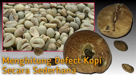 cara sederhana sortir biji kopi youtube