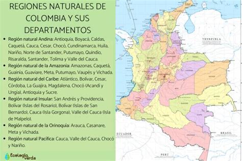 6 REGIONES NATURALES de COLOMBIA Mapa características y resumen con