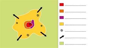 Hatier Géographie 4ème