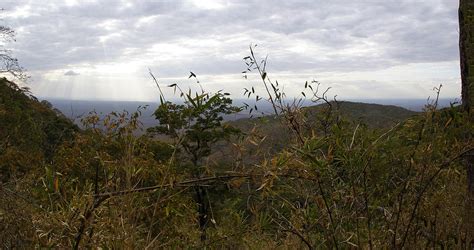 View From Serra Mecula Reserva Do Niassa Mozambique Flickr