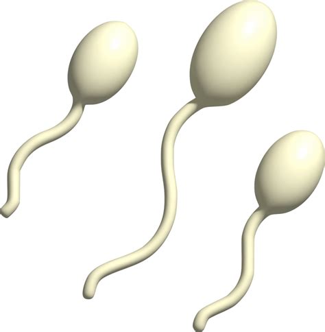 Ilustración 3D de esperma 17816217 PNG