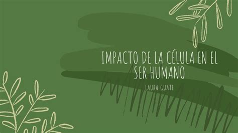 IMPACTO DE LA CÉLULA EN EL SER HUMANO YouTube