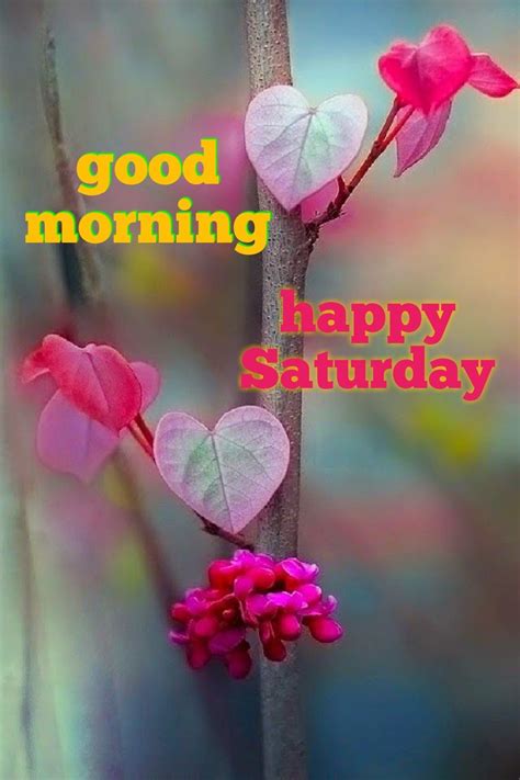 Incredible Compilation Of Good Morning Happy Saturday Images