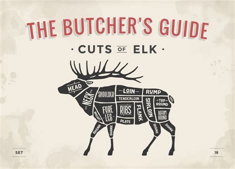 Elk Cuts Of Meat Diagram