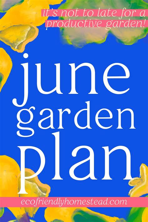 June Seed Starting Productive Vegetables To Plant Now
