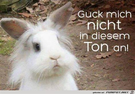 Lustige Spr Che Bilder Witzig Lustige Spr Che