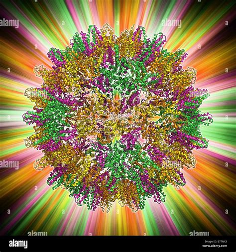 El virus de la hepatitis B modelo molecular cápside Este virus