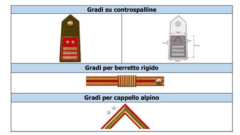 Nuovi Distintivi Dei Gradi Per Luogotentente E Qualifiche Apicali Il