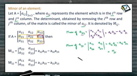 minor and cofactor youtube