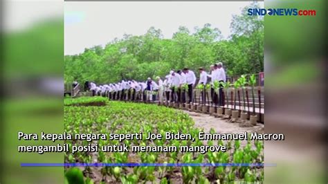 Presiden Jokowi Dan Kepala Negara G20 Kompak Mencangkul Tanam Mangrove