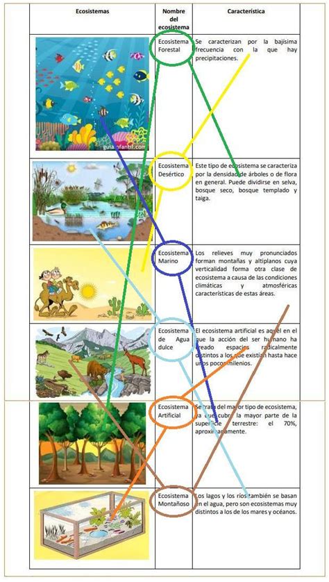Observa Las Imagenes Y Distingue A Q Ecosistema Pertenecen Y Su
