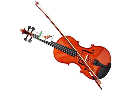 Instrumentos de Cuerda MÁS de 10 ejemplos de Instrumentos