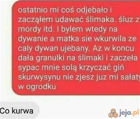 Co jest z tymi ludźmi nie tak Jeja pl
