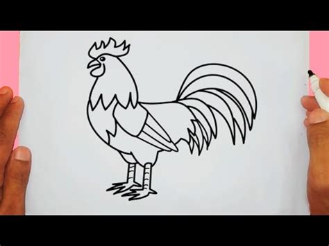 Como Desenhar Um Galo Passo A Passo YouTube