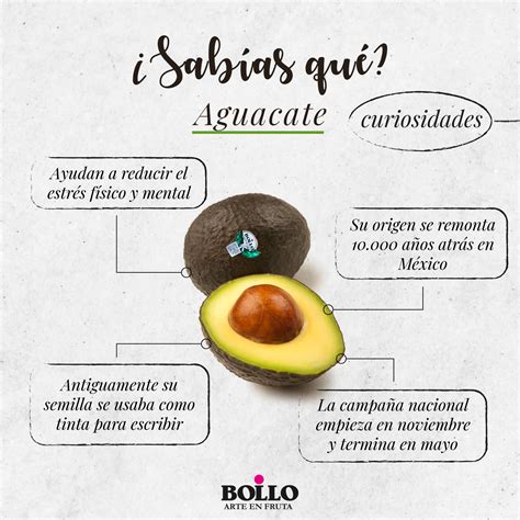 Datos Freak Curiosidades Datos Curiosos Etimologia Aguacate The Best