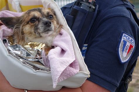 EN IMAGES Au Havre un jeune de 16 ans se jette à l eau pour sauver un