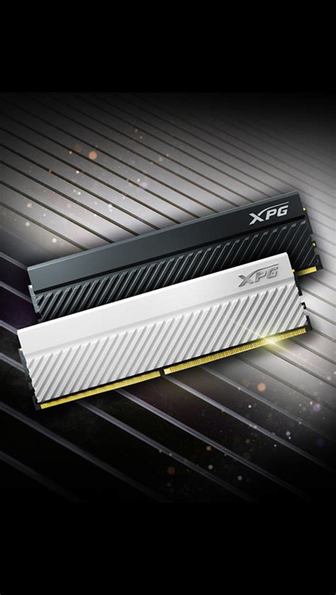 Gammix D Ddr Memory Module