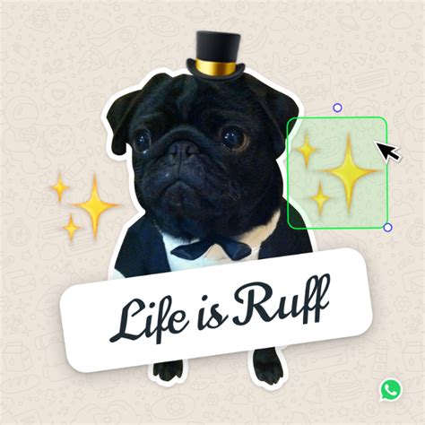WhatsApp lanza una nueva función para crear stickers personalizados