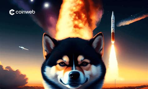 Shiba Inu Burn Rate Spikes How Does It Affect The Price