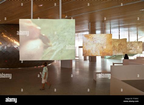 Museo de la Evolución Humana Burgos Castilla y León Spain Human