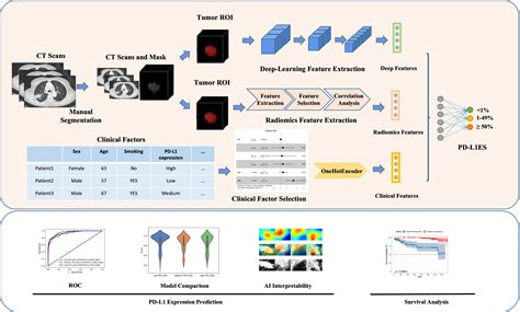 Frontiers Non Invasive Measurement Using Deep Learning Algorithm