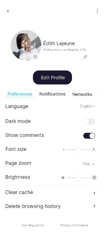 Daily Ui Settings Figma