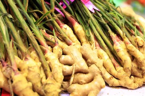 Infusion De Gingembre Quels Sont Ses Bienfaits Et Comment La Pr Parer