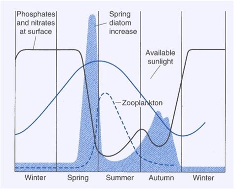 Oceanography Exam Flashcards Quizlet
