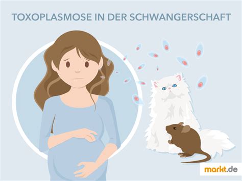 Toxoplasmose In Der Schwangerschaft Verhindern Markt De