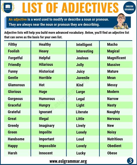 Adjectives Describe Nouns Examples