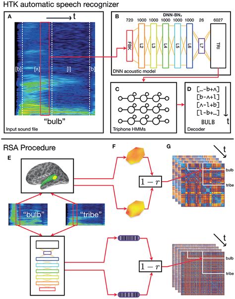 frontiers on the similarities of representations in artificial and brain neural networks for