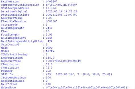 如何在 Python 中提取图像元数据 码农参考