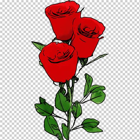 Rosas de jardín Acuarela Pintura Tinta húmeda Flor Rojo Planta