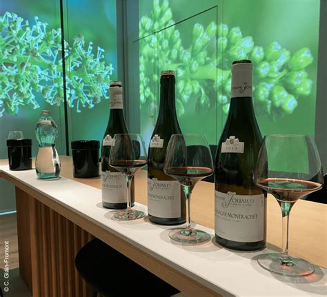 Atelier leffet millésime École des Vins de Bourgogne