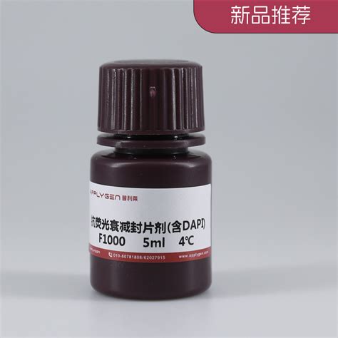 Dapi Dapi Staining Solution B