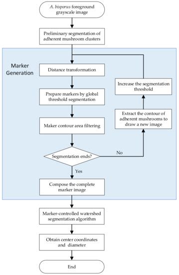 agronomy free full text a novel segmentation recognition algorithm of agaricus bisporus