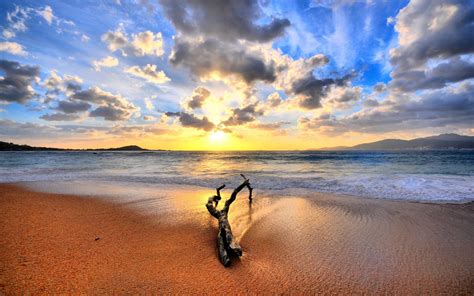 Wallpaper Sunlight Landscape Sunset Sea Nature Shore Sand Sky