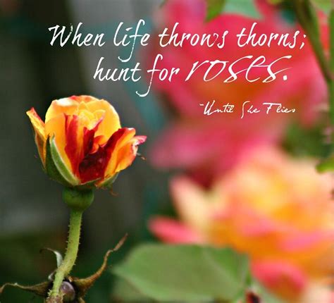 Beautiful Rose Quotes Shortquotes Cc