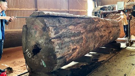 Amazing Sawmill Wood Cutting Amazing Woodworking Factory Cut Largest
