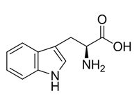 L 色氨酸 CAS 73 22 3 南京化学试剂