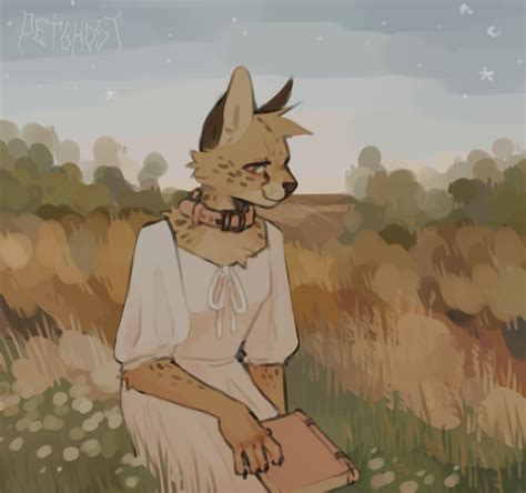 Cat Furry Anime Furry Pretty Art Cute Art Furry Drawing Fanart