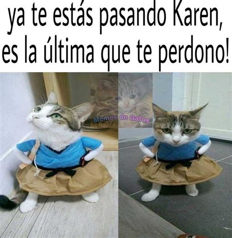 Karen Y El Gato Meme Subido Por Fernando335 Memedroid