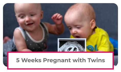 Weeks Pregnant With Twins Symptoms Belly Ultrasound About Twins