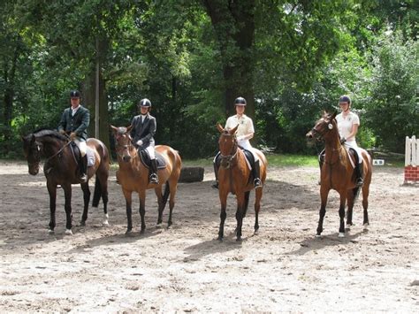 Parkfete Und Turniere Reit Und Fahrverein Selchow E V
