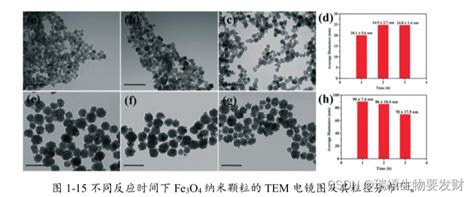 介孔二氧化硅包四氧化三铁纳米颗粒（100nm），介孔sio2 fe3o4的特点有哪些？ 介孔二氧化硅包裹四氧化三铁 csdn博客