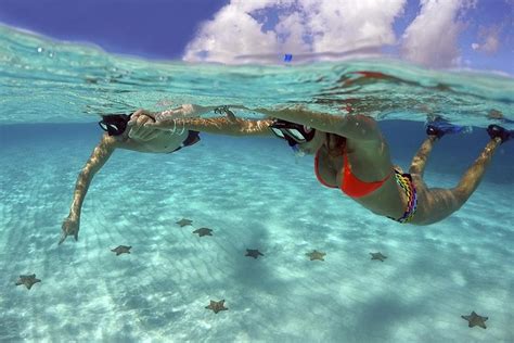 Tripadvisor Vive esta experiencia única de snorkel El Cielo en