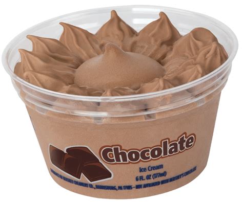 Ice Cream Chocolate Cup Chocolate Flavor Dessert Treat Sweet Indulgence Gourmet Confection Png