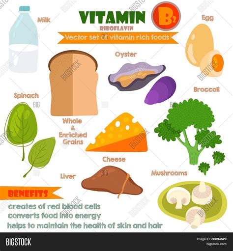 Vitamins Minerals Vector Photo Free Trial Bigstock