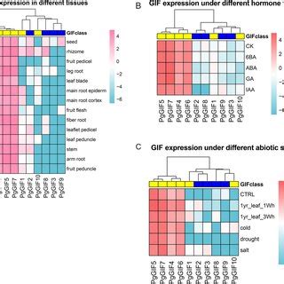 Meta Expression Analysis And Genome Wide Identification Of Pggrf And
