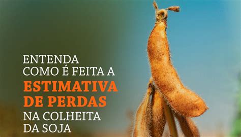 Entenda como é feita a estimativa de perdas na colheita da soja